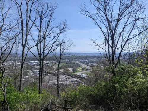 Best Hikes and Trails in Sharps Ridge Memorial Park | AllTrails