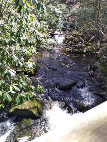 Best River Trails in Neversink River Unique Area | AllTrails