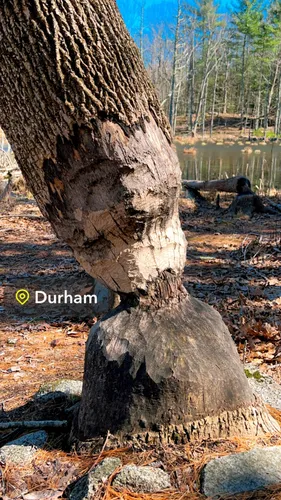 Best Hikes and Trails in Lubberland Creek | AllTrails