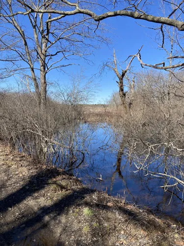 Best Views Trails in Rachel Carson National Wildlife Refuge | AllTrails