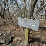 Flat Top Mountain via Flat Top Trail, Virginia - 465 Reviews, Map ...