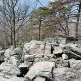 Bear's Den Park Trail, Virginia - 2,700 Reviews, Map | AllTrails