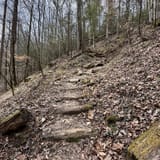 Koomer Ridge Trail, Kentucky - 635 Reviews, Map | AllTrails
