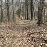 Mooner's Hollow Trail, Missouri - 1,531 Reviews, Map | AllTrails