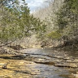 Mooner's Hollow Trail, Missouri - 1,531 Reviews, Map | AllTrails