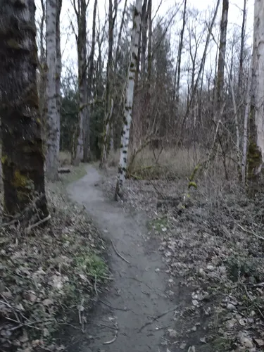 Best Hikes and Trails in Three Forks Park | AllTrails