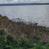 Caldy Village, Dee Estuary & Cubbins Green, Merseyside, England - 54 ...