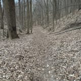 Abraham Lincoln Park White Trail, New York - 1,603 Reviews, Map | AllTrails