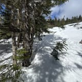 Mount Crawford via Davis Path Trail, New Hampshire - 1,057 Reviews, Map ...