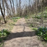 Salt Lick Trail Short Loop, Illinois - 546 Reviews, Map | AllTrails