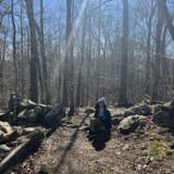Bradner Preserve Loop, Rhode Island - 101 Reviews, Map | AllTrails