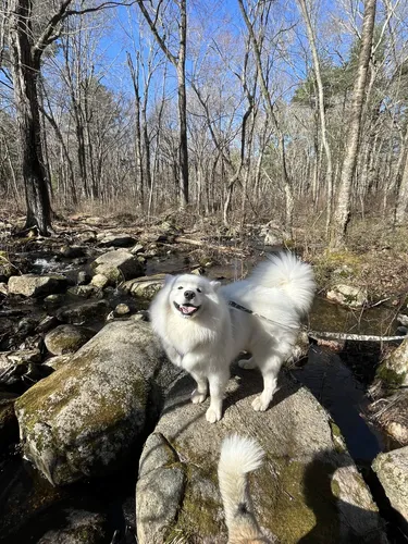 Best Hikes and Trails in Bradner Preserve | AllTrails