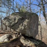 Bradner Preserve Loop, Rhode Island - 92 Reviews, Map | AllTrails