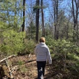 Bradner Preserve Loop, Rhode Island - 97 Reviews, Map | AllTrails