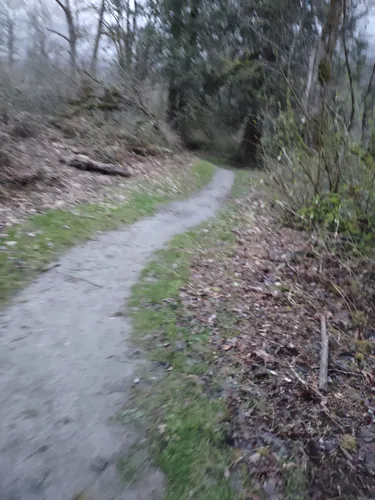 Best Hikes and Trails in Three Forks Park | AllTrails