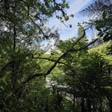 Waitomo Walkway, Waikato, New Zealand - 67 Reviews, Map | AllTrails