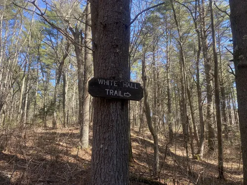 Best Mountain Biking Trails in Upton State Forest | AllTrails