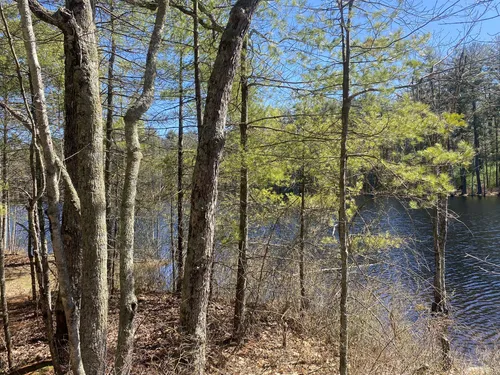 Best Mountain Biking Trails in Upton State Forest | AllTrails