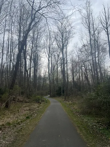 Best Hikes and Trails in Difficult Run Stream Val Park | AllTrails