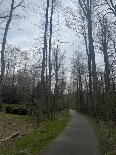 Best Hikes and Trails in Difficult Run Stream Val Park | AllTrails