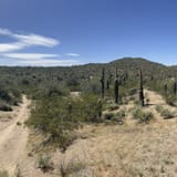 Hawes Trail System Loop, Arizona - 1,046 Reviews, Map | AllTrails