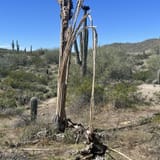 Hawes Trail System Loop, Arizona - 1,046 Reviews, Map | AllTrails