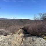 Reeves Brook Loop Trail, New York - 4,558 Reviews, Map | AllTrails