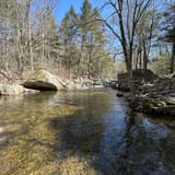 Reeves Brook Loop Trail, New York - 4,558 Reviews, Map | AllTrails