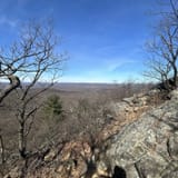 Reeves Brook Loop Trail, New York - 4,558 Reviews, Map | AllTrails