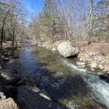 Reeves Brook Loop Trail, New York - 4,558 Reviews, Map | AllTrails