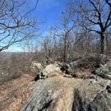 Reeves Brook Loop Trail, New York - 4,558 Reviews, Map | AllTrails