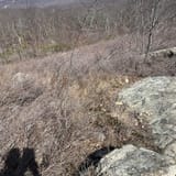 Reeves Brook Loop Trail, New York - 4,558 Reviews, Map | AllTrails