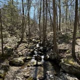 Reeves Brook Loop Trail, New York - 4,558 Reviews, Map | AllTrails