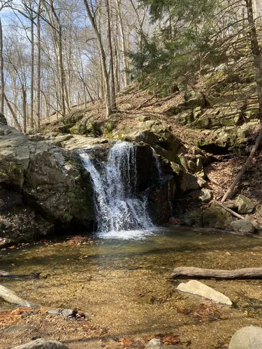 10 Best Waterfall Trails in Patapsco Valley State Park | AllTrails