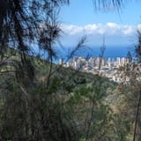 Makiki Valley Loop, Oahu, Hawaii - 5,653 Reviews, Map | AllTrails