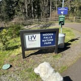 Hidden Falls Nature Park Trail, Oregon - 541 Reviews, Map | AllTrails