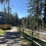 Hidden Falls Nature Park Trail, Oregon - 541 Reviews, Map | AllTrails