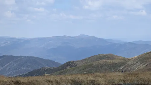 Best Hikes and Trails in Bogong Remote and Natural Area | AllTrails
