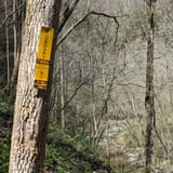 Walls of Jericho Trail, Alabama - 2,324 Reviews, Map | AllTrails