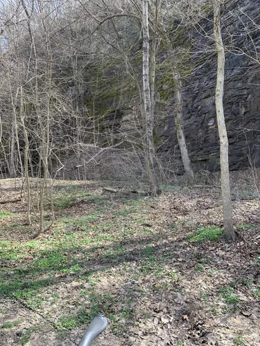 Best Walking Trails in Mont Clare | AllTrails