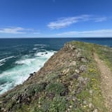 Navarro Point Preserve, California - 117 Reviews, Map | AllTrails