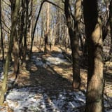 Shaker Mountain Loop via Shaker Trail, Massachusetts - 490 Reviews, Map ...