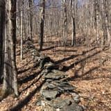 Shaker Mountain Loop via Shaker Trail, Massachusetts - 490 Reviews, Map ...