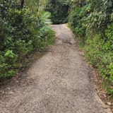 Cerro de Punta, Central Region, Puerto Rico - 110 Reviews, Map | AllTrails