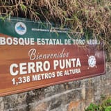 Cerro de Punta, Central Region, Puerto Rico - 110 Reviews, Map | AllTrails