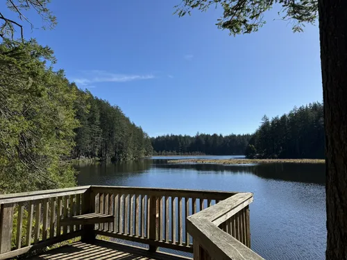 Best Trail Running Trails in Cranberry Lake Park ACFL | AllTrails