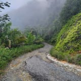 Cerro de Punta, Central Region, Puerto Rico - 129 Reviews, Map | AllTrails