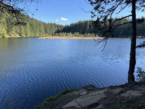 Best Trail Running Trails in Cranberry Lake Park ACFL | AllTrails