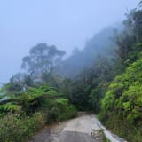 Cerro de Punta, Central Region, Puerto Rico - 129 Reviews, Map | AllTrails