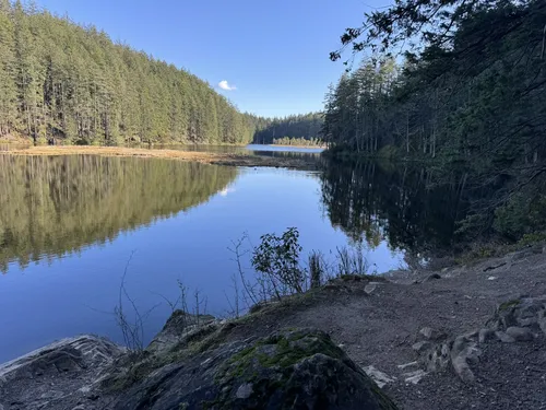 Best Trail Running Trails in Cranberry Lake Park ACFL | AllTrails